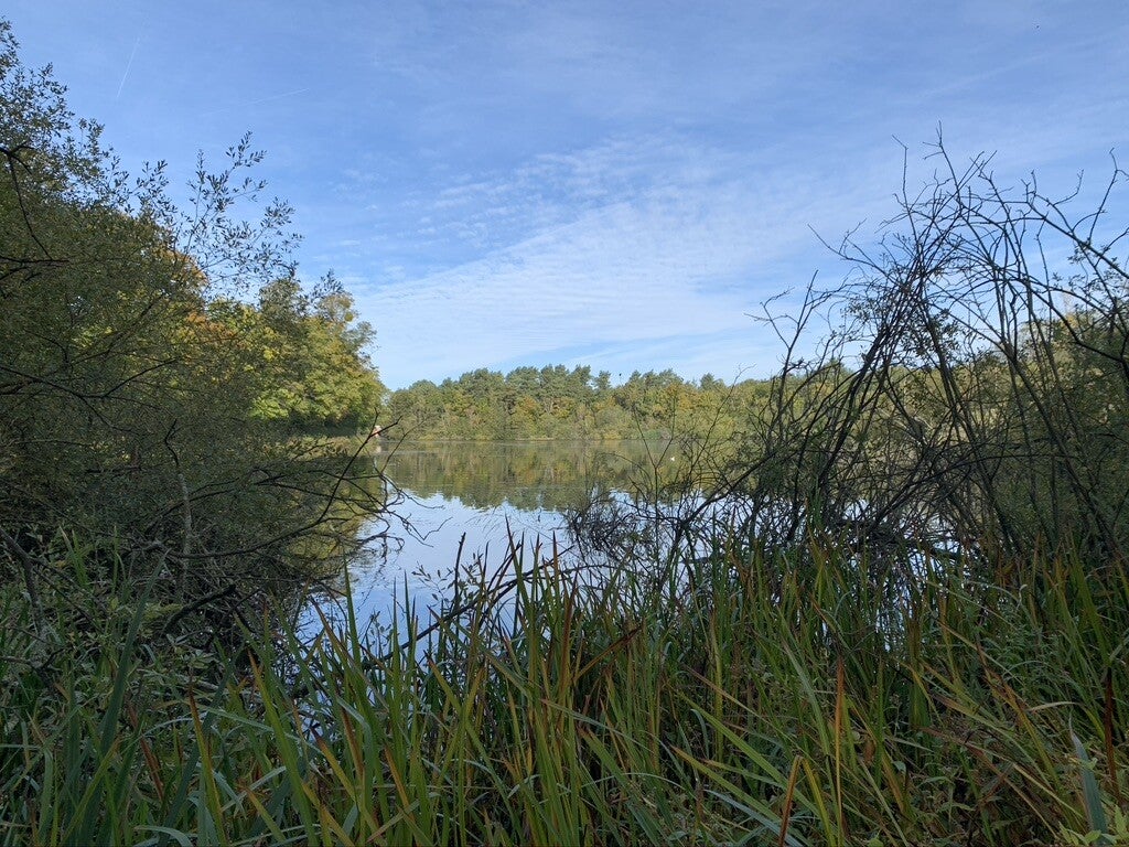 Around Ash Ranges / Long Walks - 5 or more miles / The Nature Walks ...