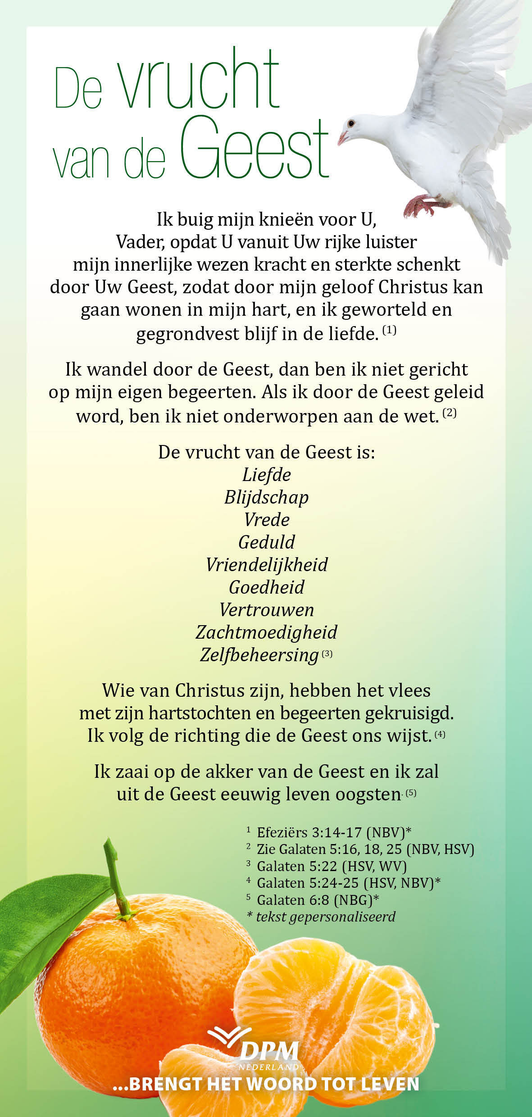 Galaten 5 - Geest tegen vlees / Galaten / Bijbelstudies Nieuwe ...