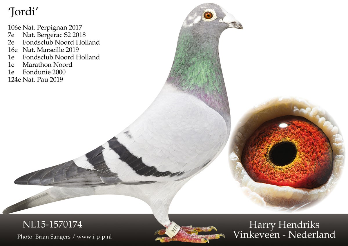 Harry Hendriks