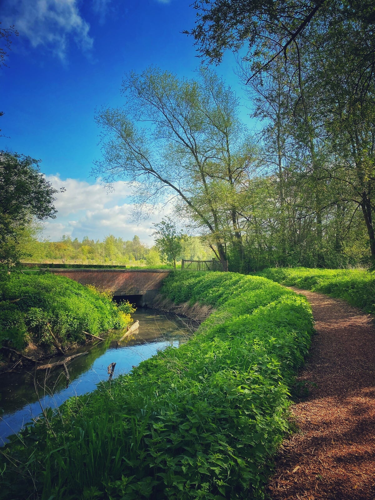 De Kevie - Tongeren / Haspengouw / Wandelen in Limburg / België ...