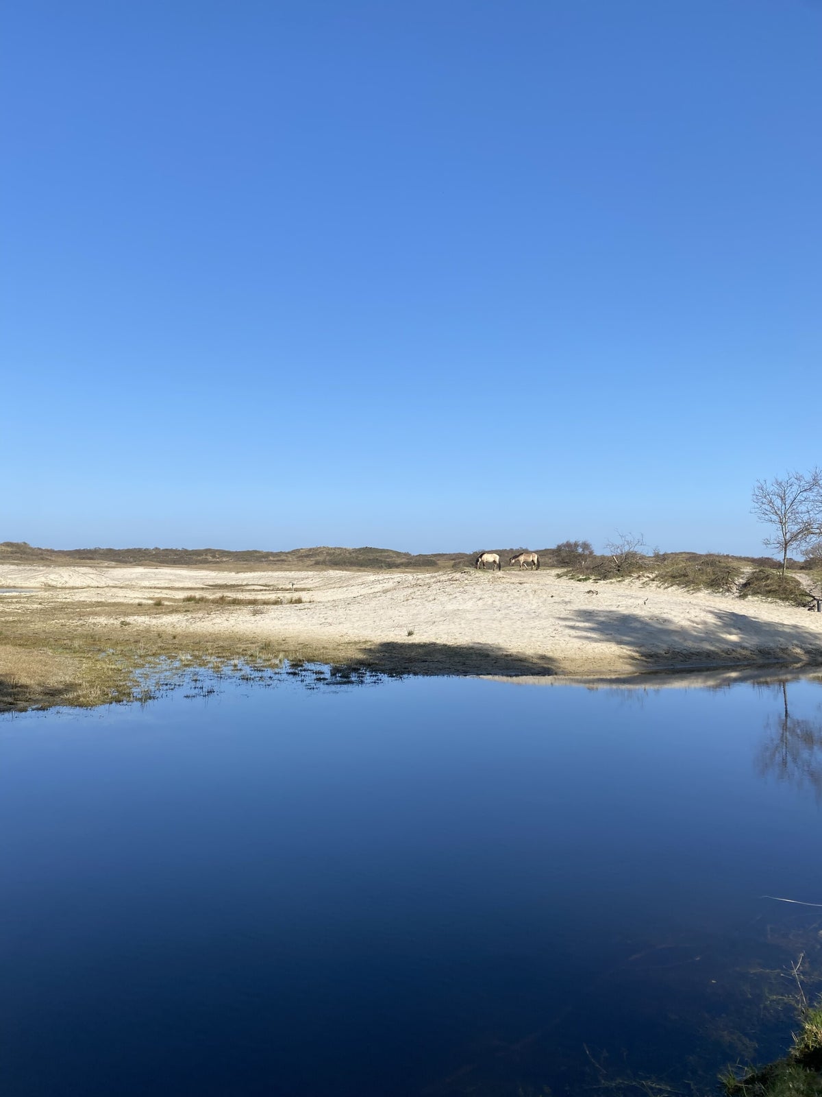 Waarom Oranjezon in Zeeland jouw volgende wandelstop moet zijn.