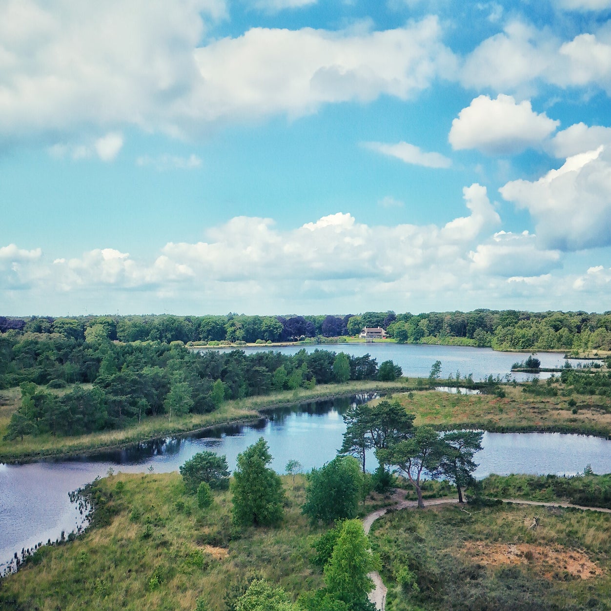 5 verrassende wandelingen in de Kempen die je echt eens moet doen (met ...