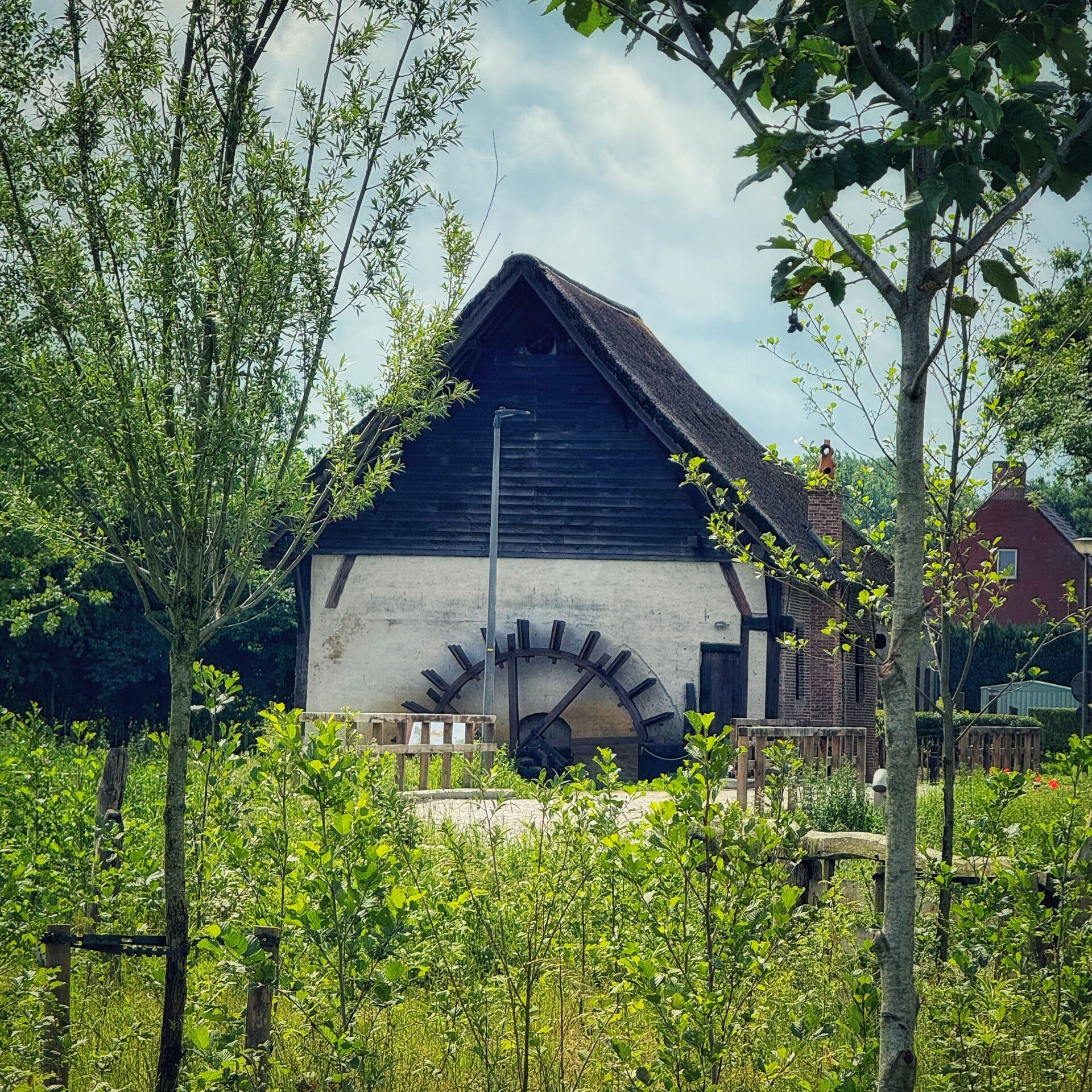 5 verrassende wandelingen in de Kempen die je echt eens moet doen (met ...