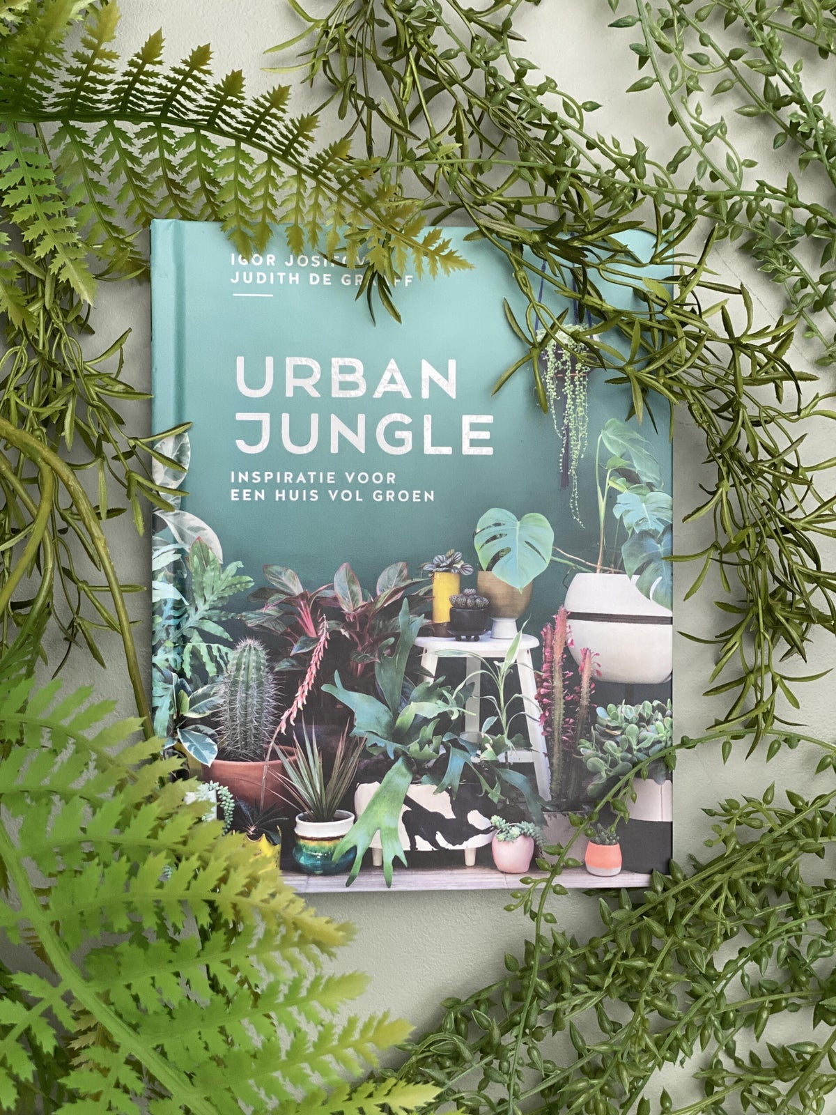 Urban Jungle Book | Bluebirds in the Backyard