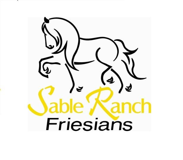 Sable Ranch Friesian Horses