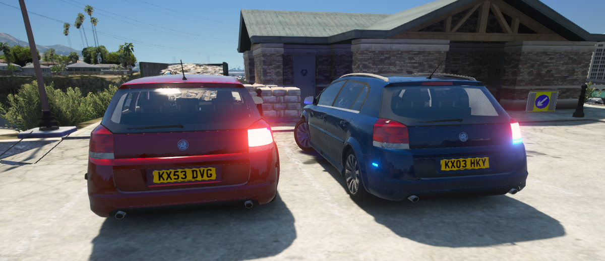 FiveM and GTA 5 Assets | DSG Network™