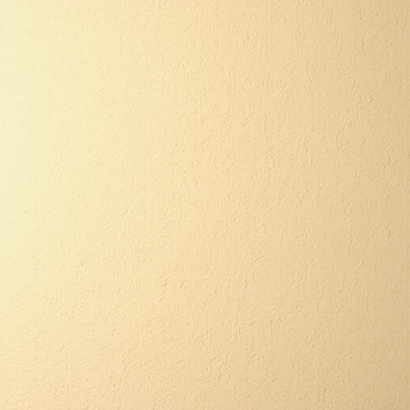 Textured Paint for Walls: The Perfect DIY Guide for Beginners