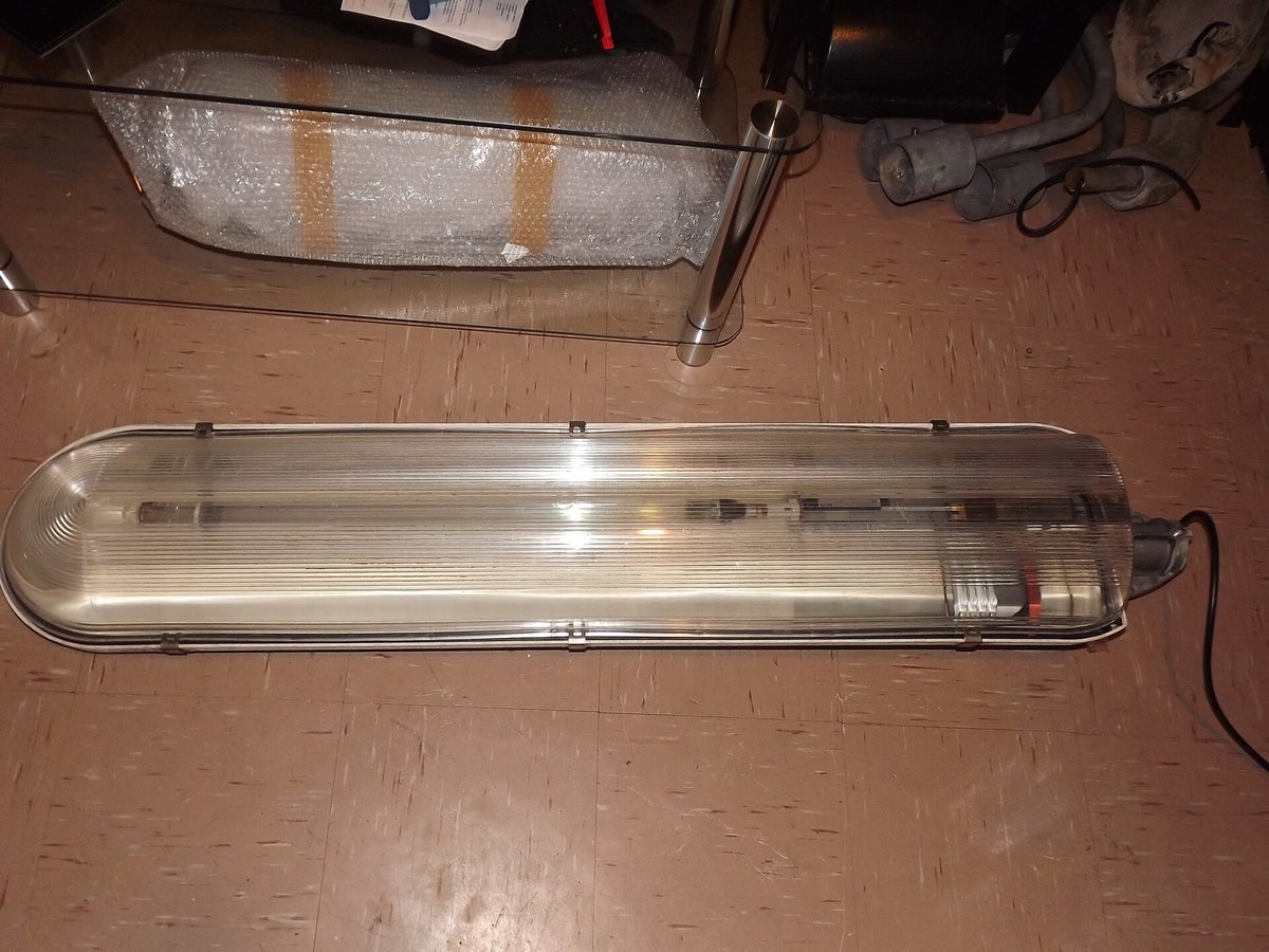 My Collection: Philips MA50-GO*1