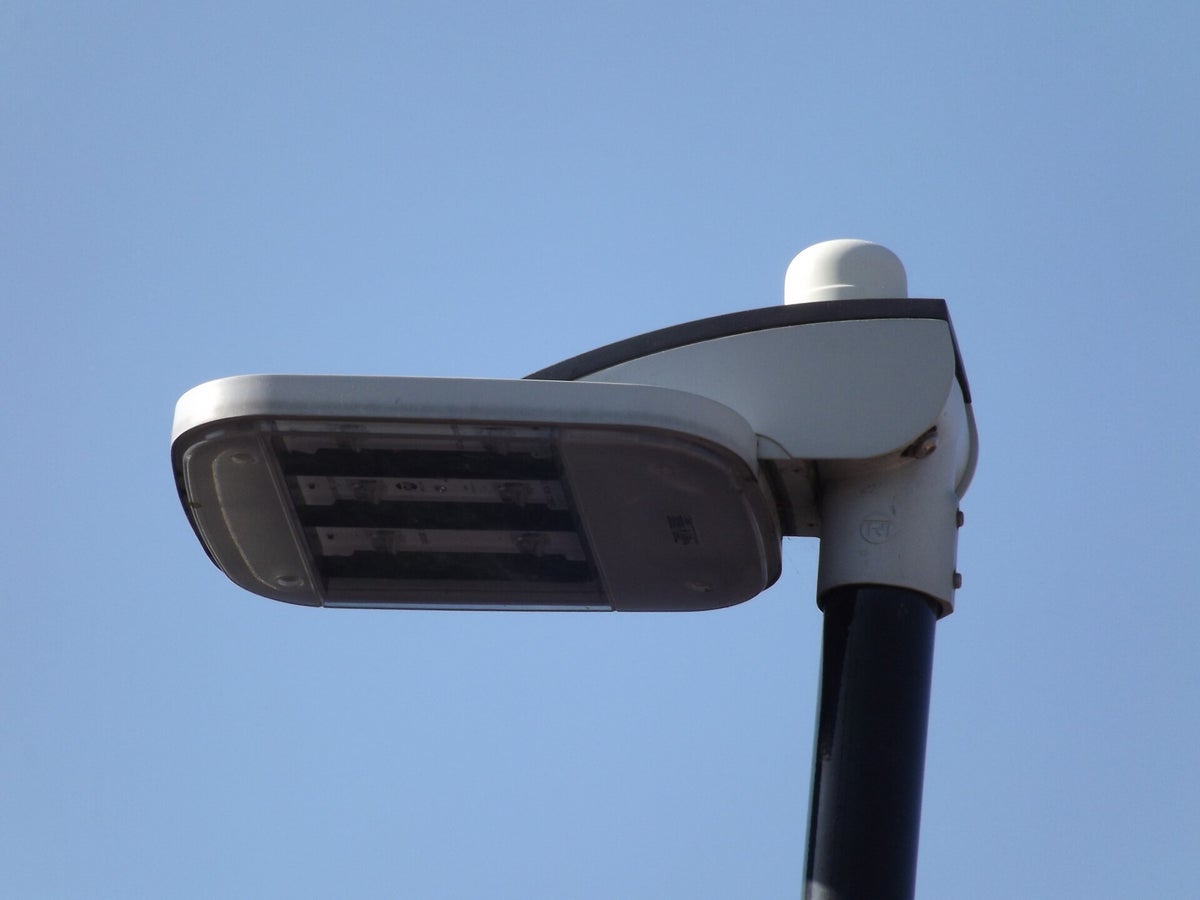 TRT Aspect Zebra Lantern Installations