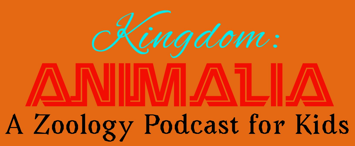 Kingdom: Animalia - A Zoology Podcast for Kids