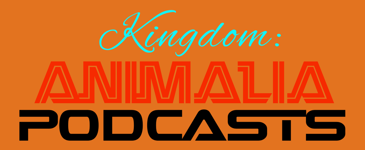 Kingdom: Animalia Podcasts | High-Quality Audio for All Ages