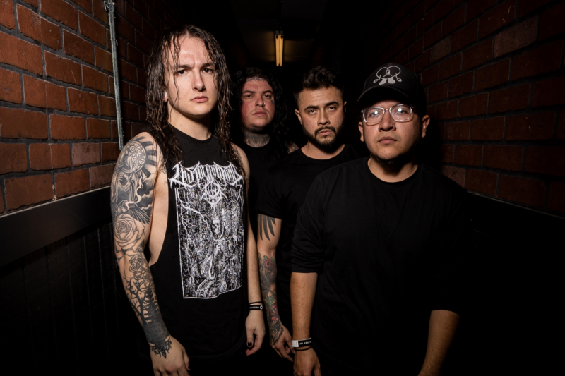 LAST OF OUR KIND BAND