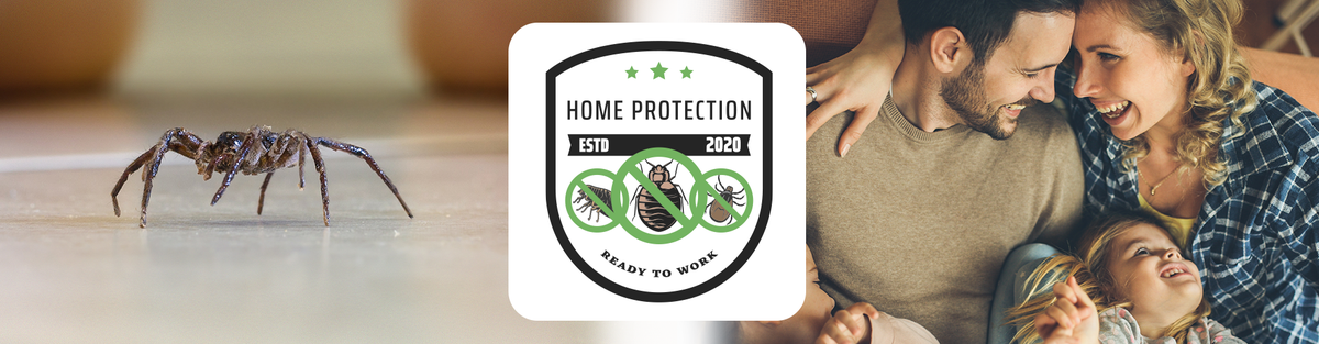 About Us | Eliminator Pest Solutions