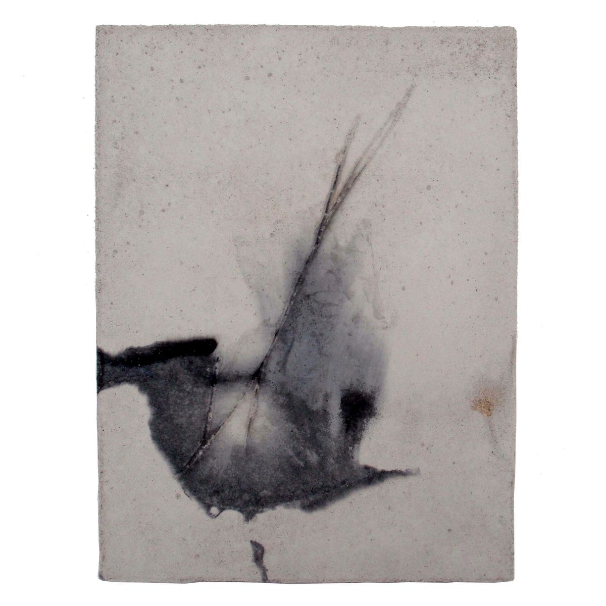 Ink & Concrete / Concrete Works | www.hoeversid.com