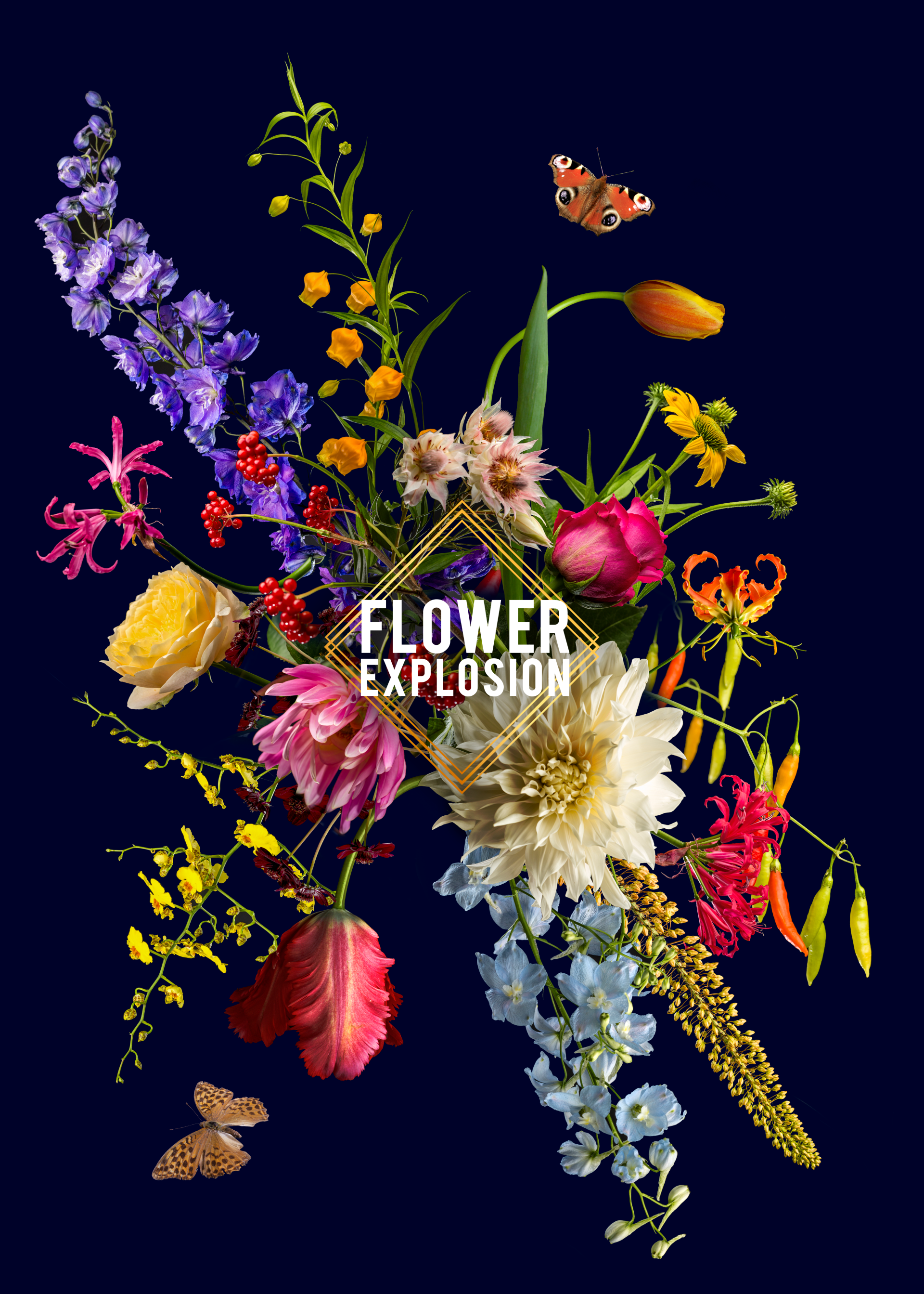 Webshop | Flower Explosion