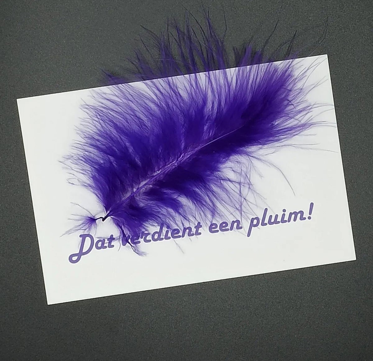 Vrolijkaartje Dat verdient een pluim! | LettersbyAline