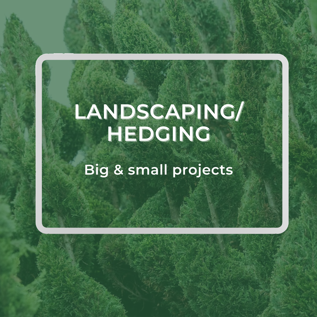 Landscaping/hedging / Products | Impulse Plants UK Ltd