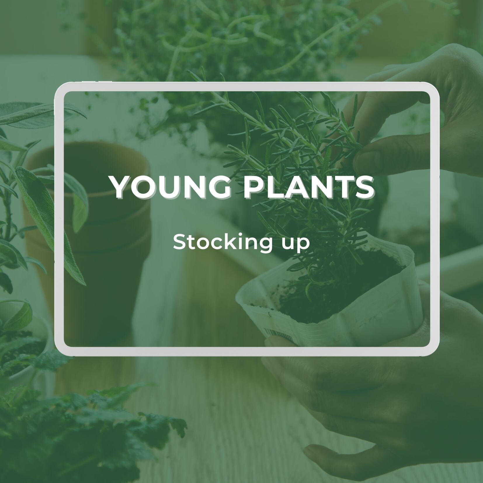 Impulse Plants UK Ltd