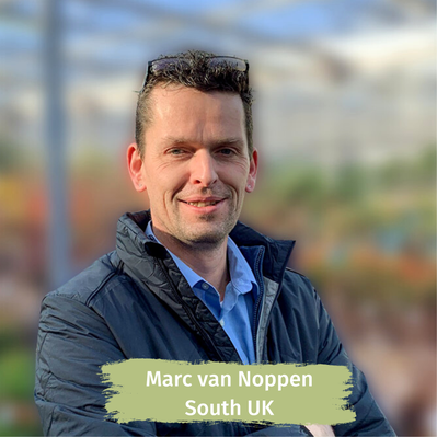 Marc van Noppen / Sales | Impulse Plants UK Ltd