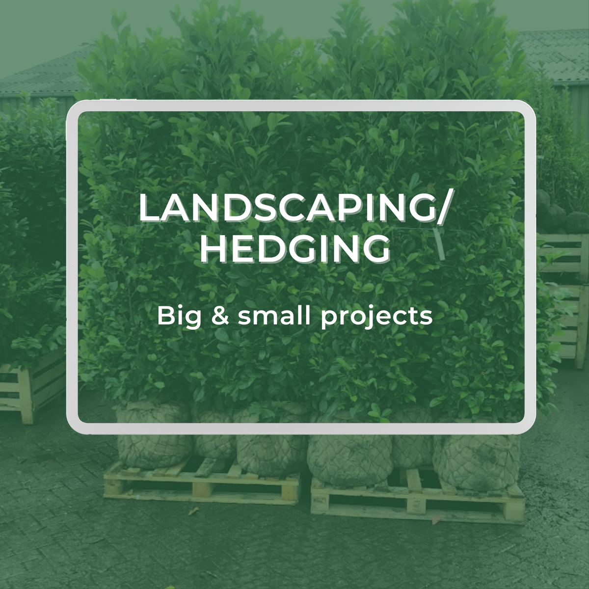 Products | Impulse Plants UK Ltd