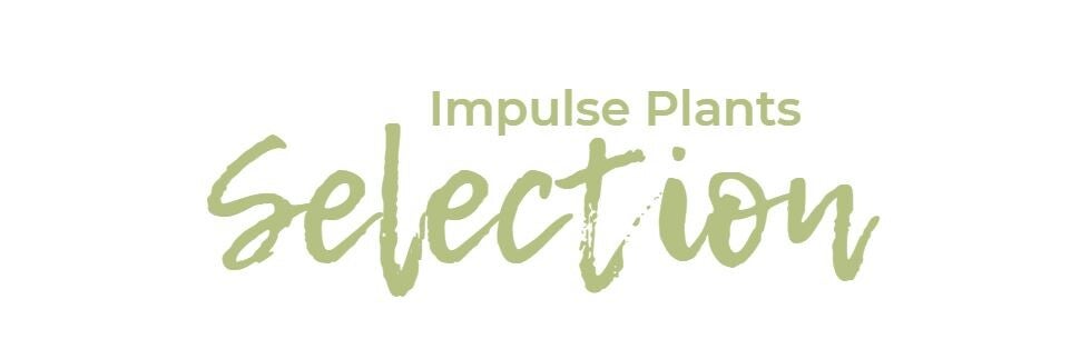 Products | Impulse Plants UK Ltd