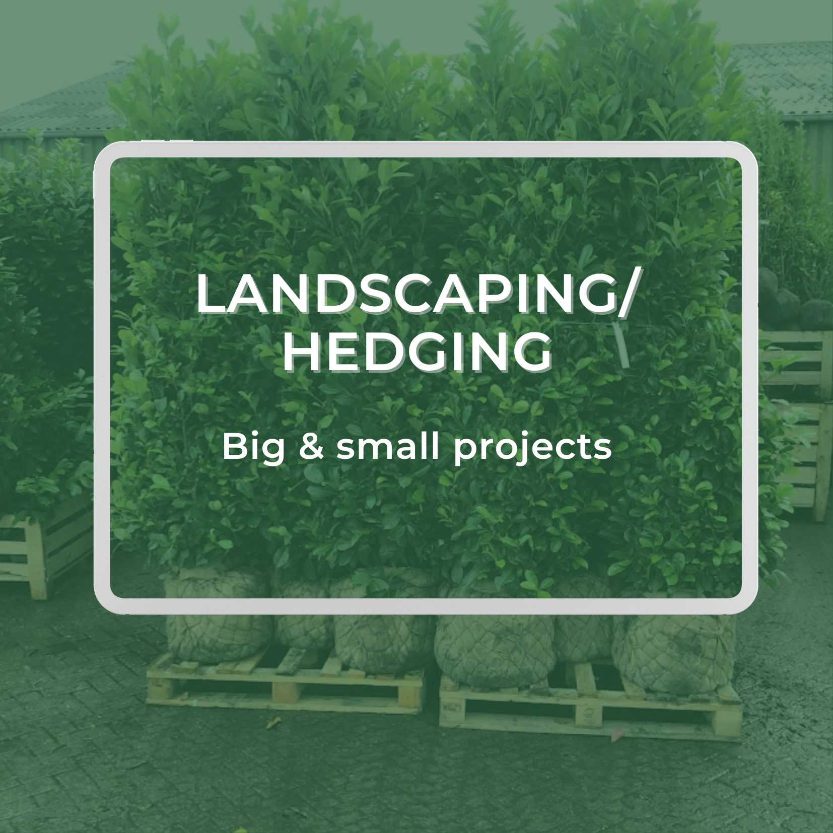 Impulse Plants UK Ltd