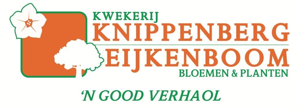 Kwekerij Knippenberg- Eijkenboom