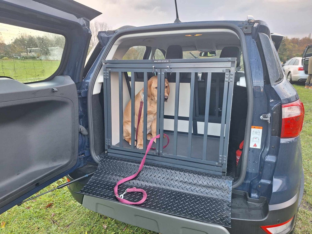 Autokennels op maat voor honden, inrichten van mobilhomes om te reizen ...