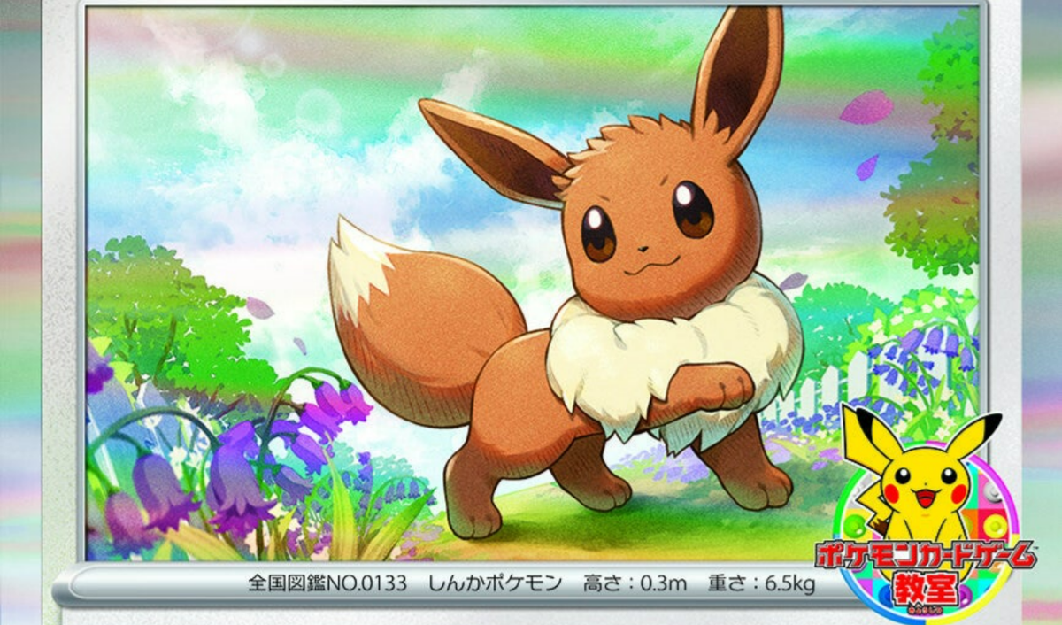 Pokemon Card Game Classroom Eevee Promo Revealed | PokeGuardian | The ...
