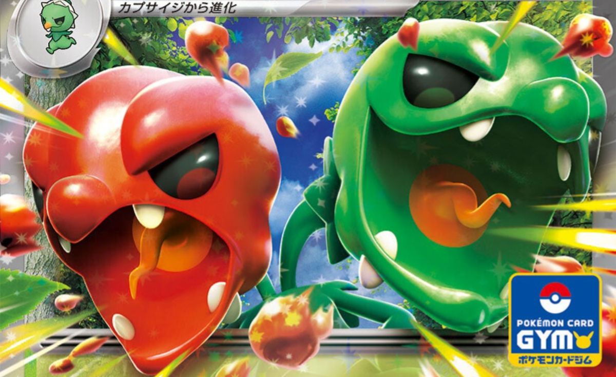 New 3rd Scarlet & Violet Pokemon Card Gym Promo Cards Revealed ...
