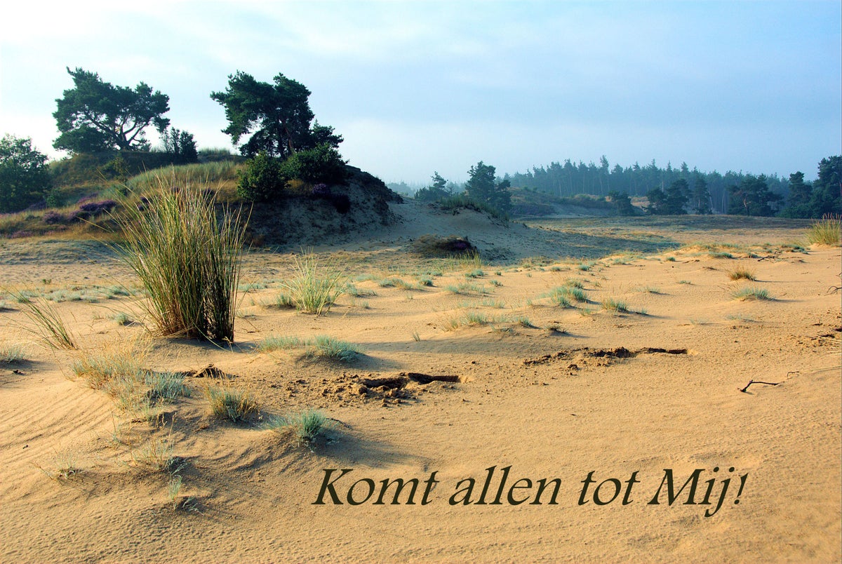 Komt allen tot Mij. | Bijbelse overdenkingen ...