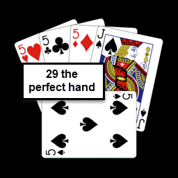 28 & 29 POINT HANDS / CRIBBAGE / GAMES | The_Castle