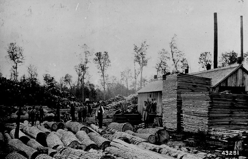 Escanaba and Lake Superior Railroad | Trains and Railroads