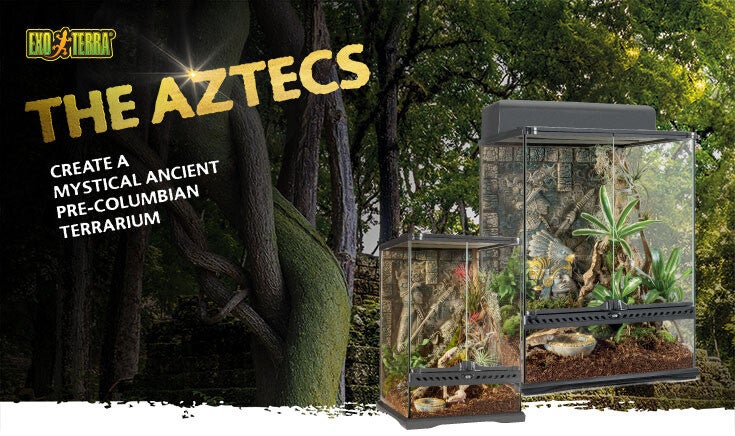 Aztec Terrarium Kit / Expedition Kits / Terrariums / Terra ...