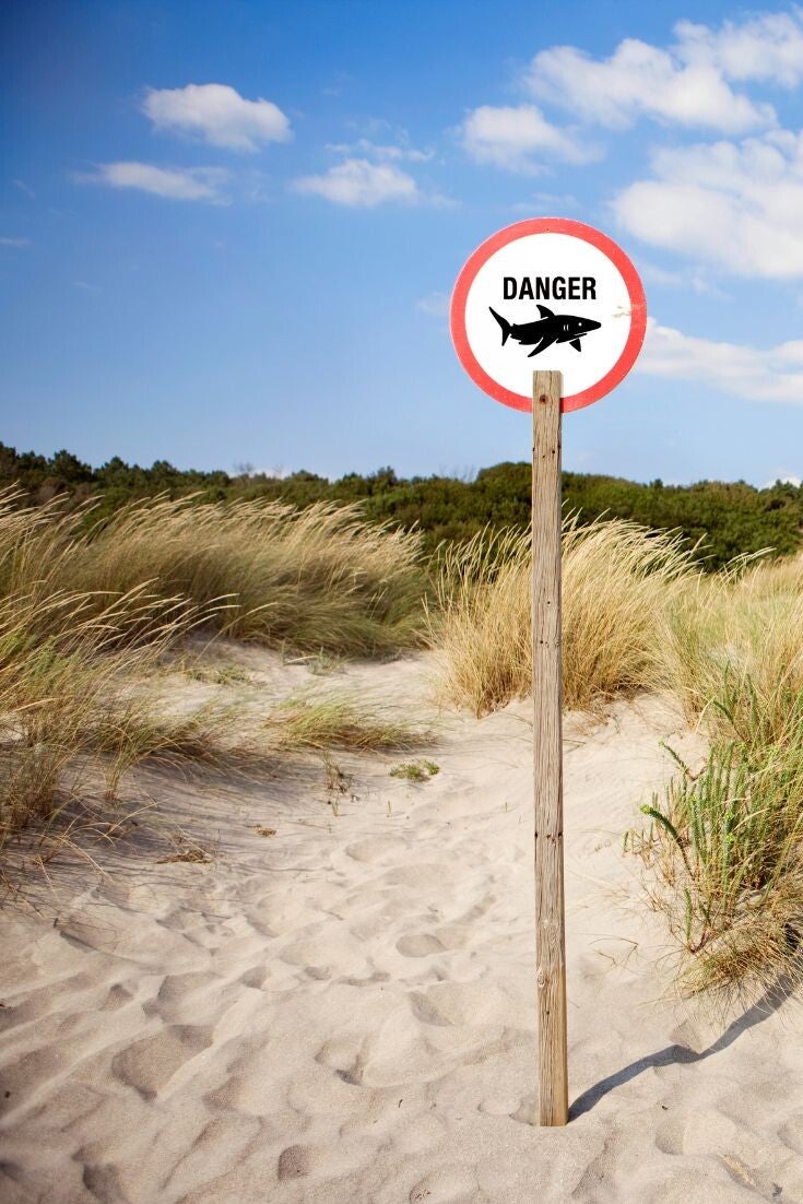 La Réunion : plage sans requin ? où se baigner ? / VOYAGES INSOLITES ...