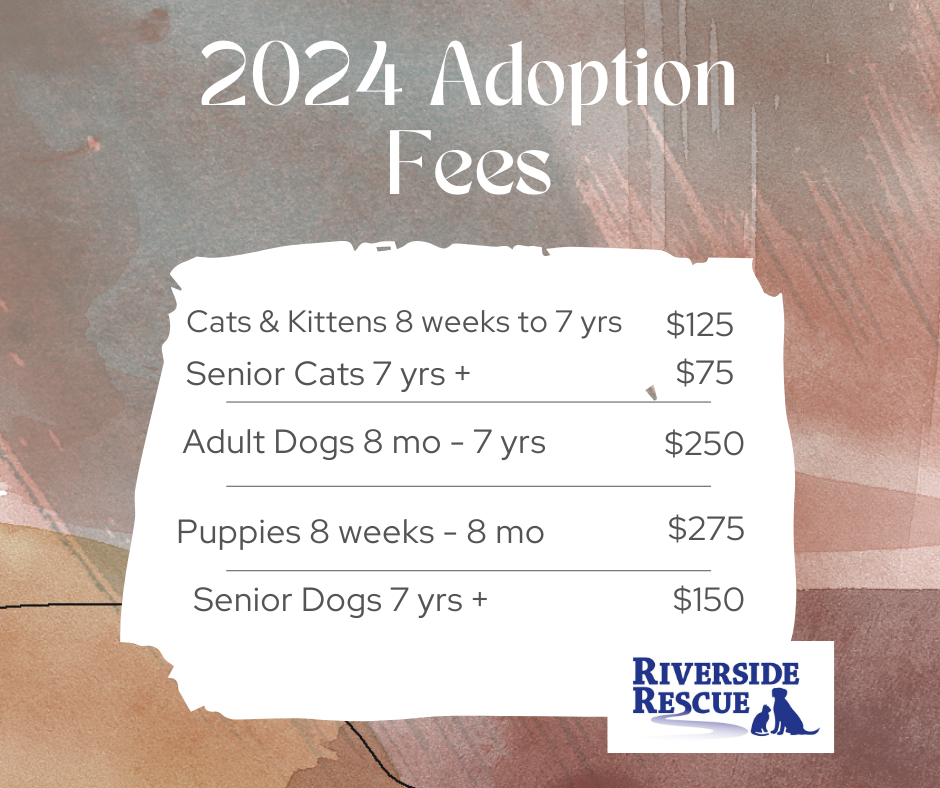 Adoptable Pets | Riverside Animal Rescue
