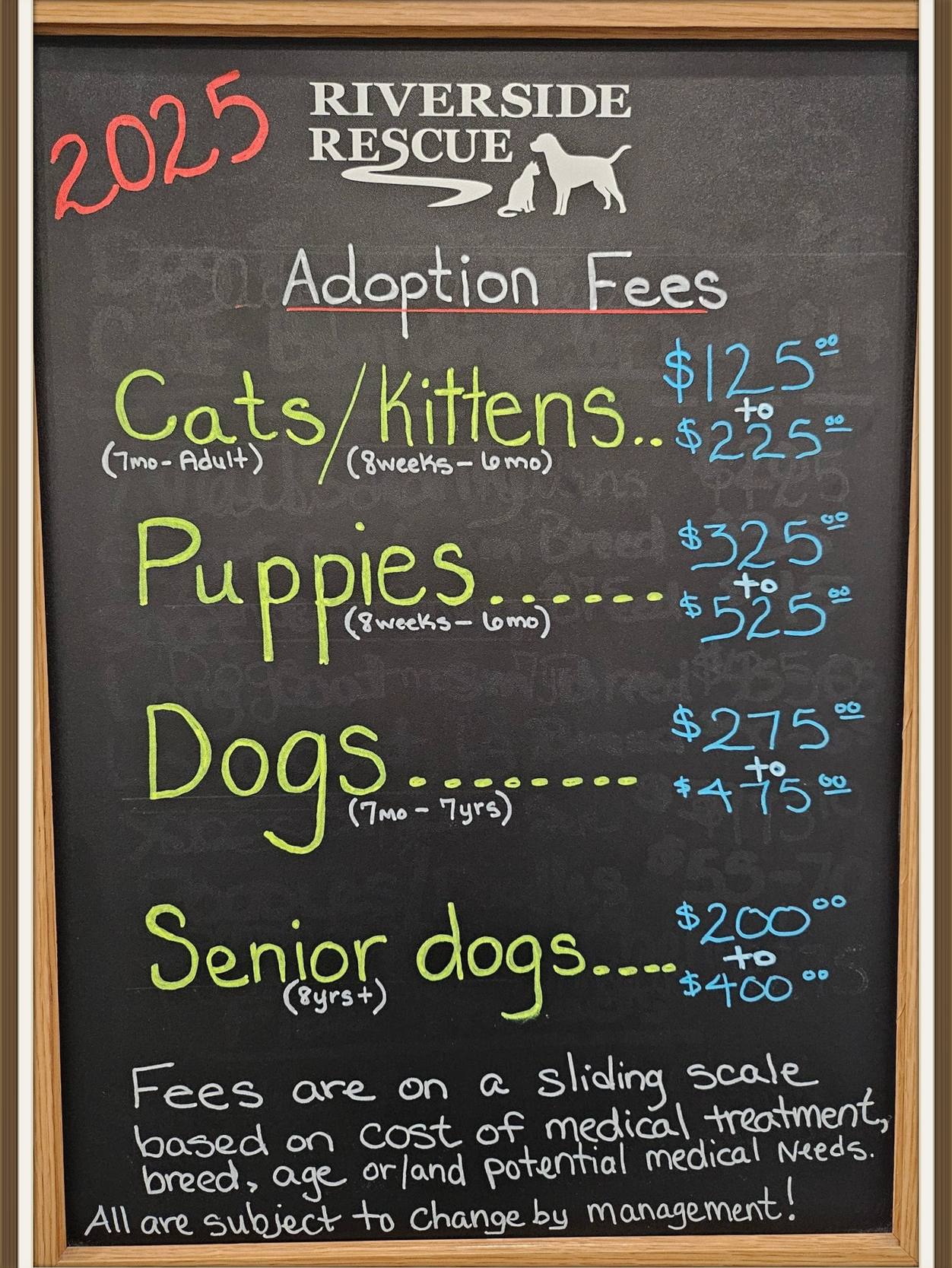 Adoptable Pets | Riverside Animal Rescue