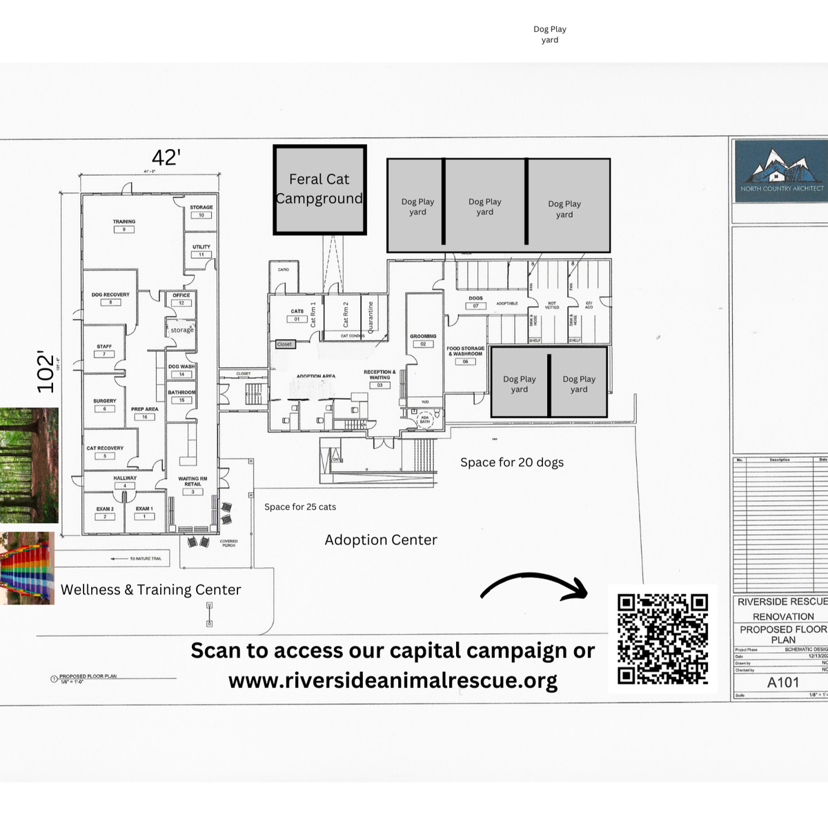How to Help | Riverside Animal Rescue