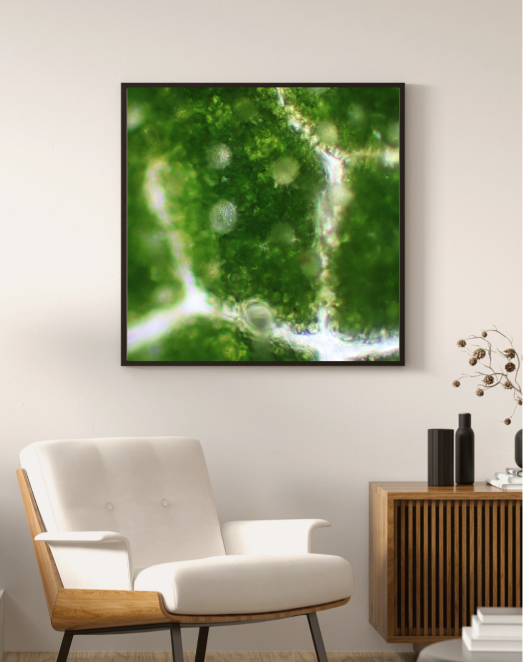 Webshop | MicroMuse Studios