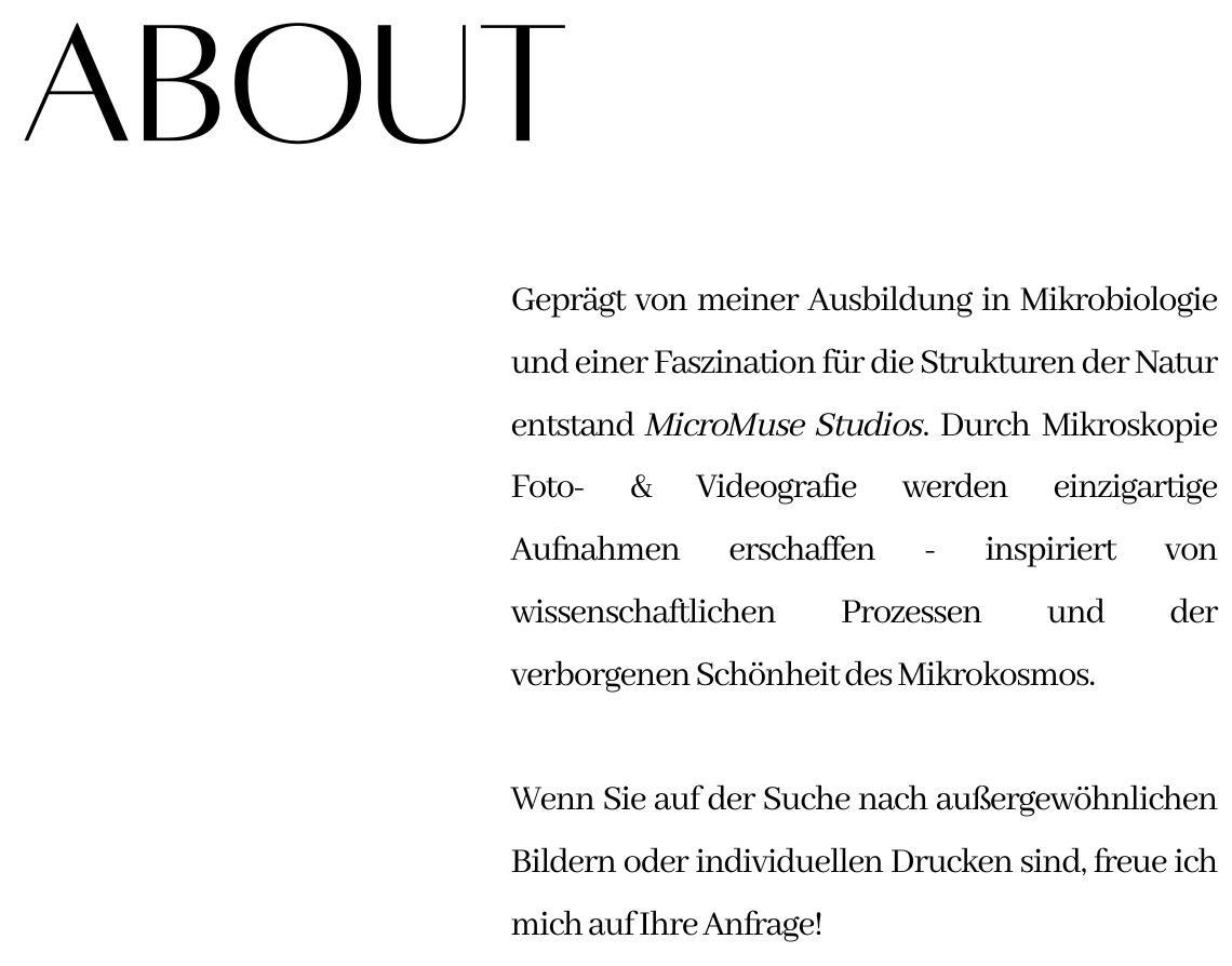 Home - Mikrofotografie | MicroMuse Studios