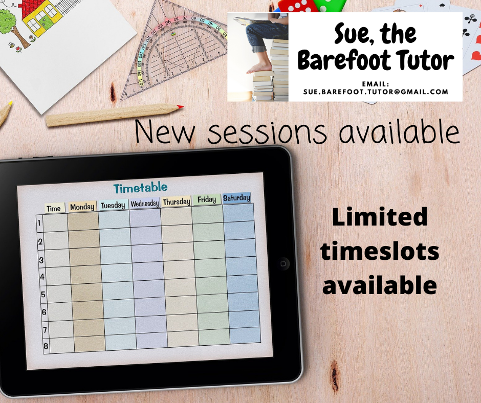 Sue the Barefoot Tutor