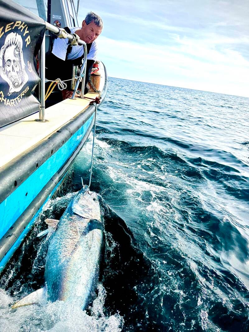 Tuna Fishing Trips / 2026 Prices & Trips Information | Zephyr Charters