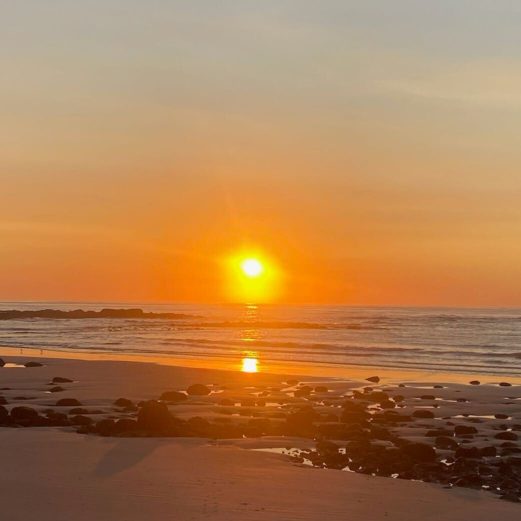 LINKS | Neighbor helping Neighbor