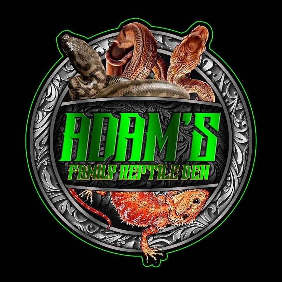 Our Available Reptiles | Adams Family Reptile Den