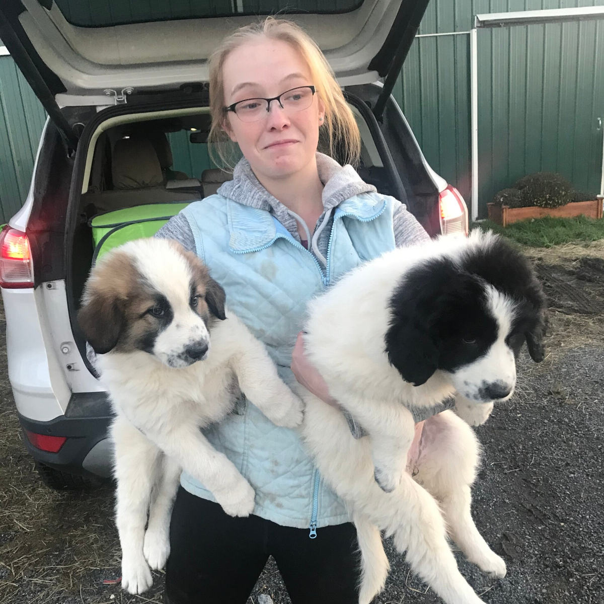 About Us - The People | Turnabout Farm Riding Center