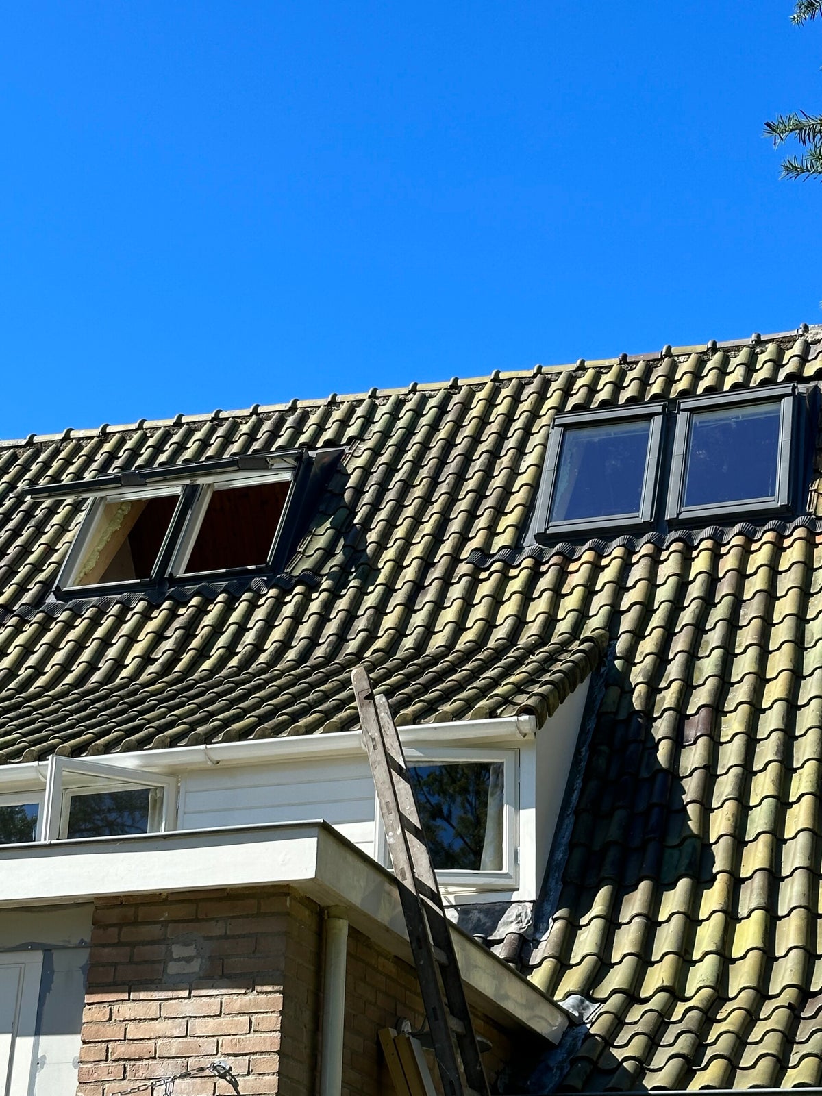 Dakramen stunter de voordeligste dakramen!