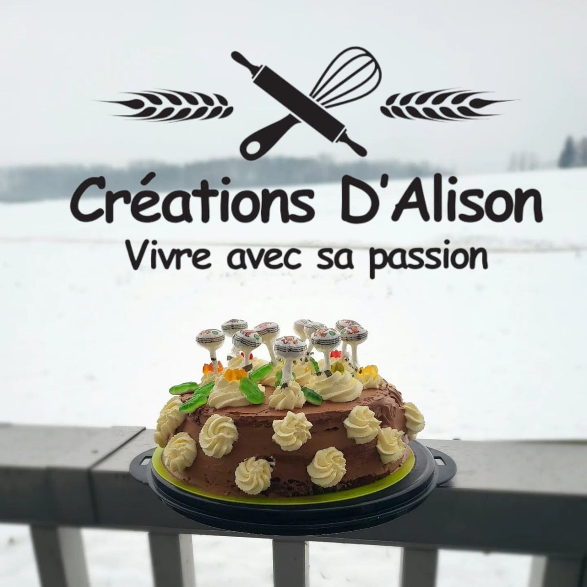Création Alison