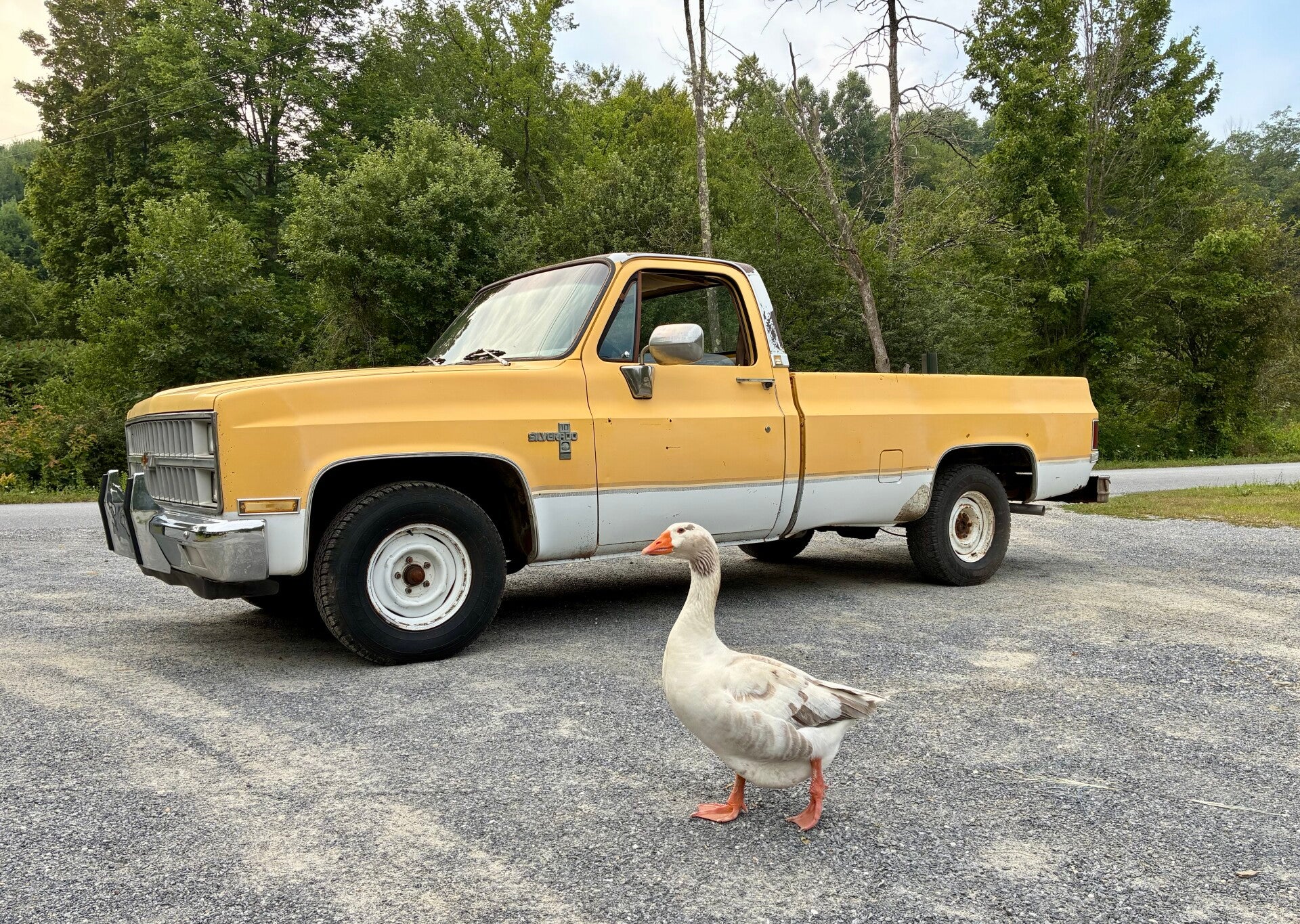 Current inventory | Hatter Creek Hot Rods