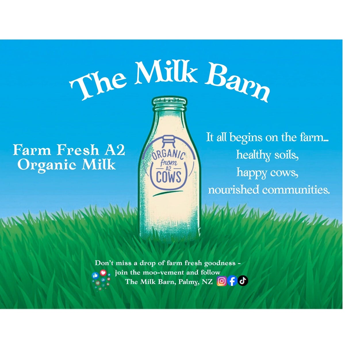 A2 Milk Info | The Milk Barn, Palmy, New Zealand