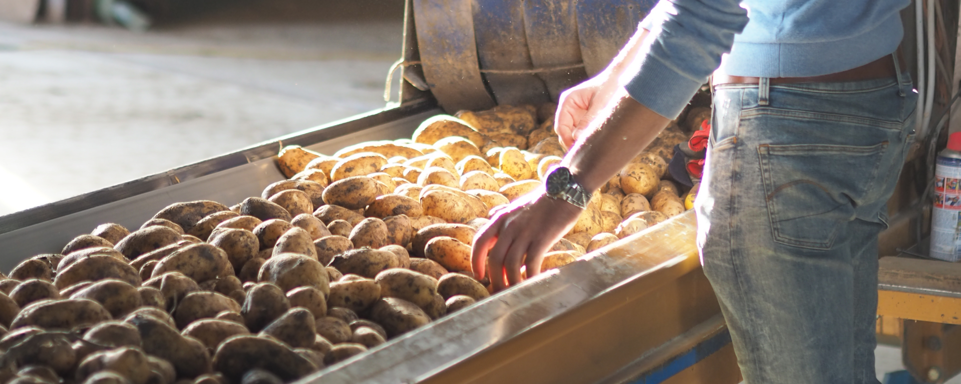 Dé groothandel voor verse frieten